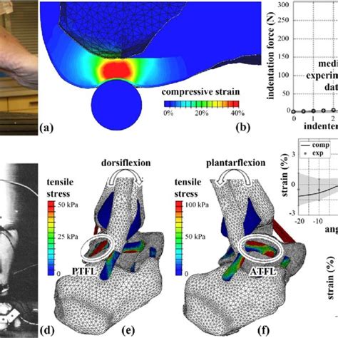 Examples Of Coupled Experimental And Computational Activities For Lower Download Scientific