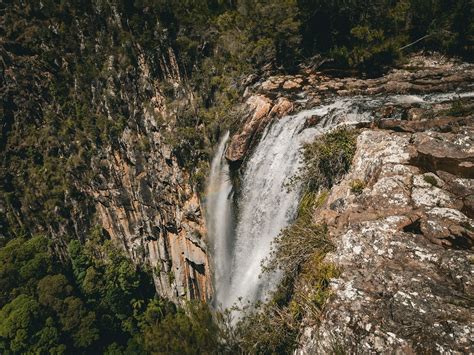 Best Bushwalks On The Nsw North Coast From Hawks Nest To Tweed