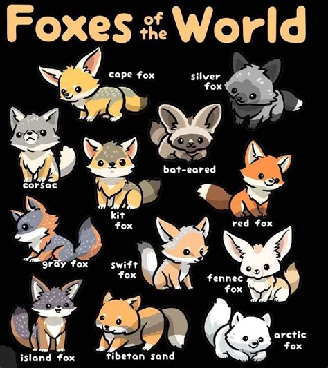 Best 13 All The 23 Different Types Of Foxes Classification And Pics