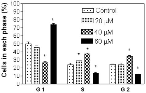 Effect Of Compound 7 On Crl 1548 Liver Cancer Cell Cycle Distribution