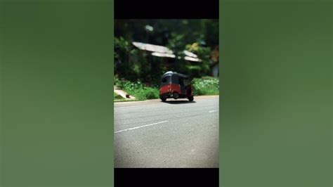 Tree Weel Wadda 💖සබ්ක්‍රයිබ් කරන් යමු 🥲 Youtube