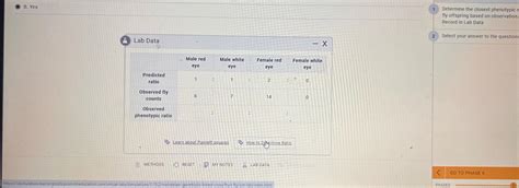 Solved 1 ﻿determine The Closest Phenotypic R ﻿fly Offspring