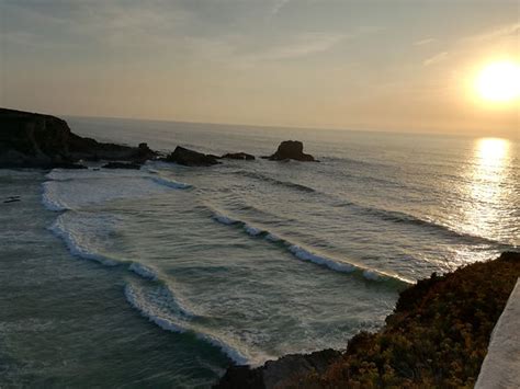 Highlight From Screenandtoxin Project Screen Toxin