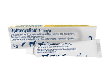 Dechra Ophtocycline 10 Mg G Eye Ointment 5g Farmacy