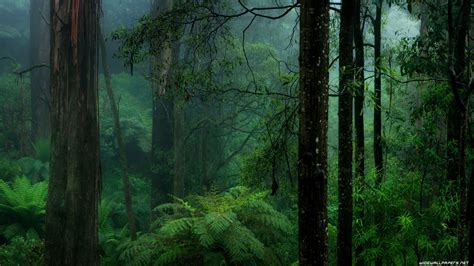 3840x2160 Uhd 4k Desktop Wallpapers Top Free 3840x2160 Uhd 4k Desktop