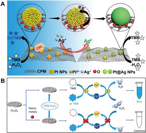 A Ag⁺ Colorimetric Assay Based On The Enhanced Peroxidase Activity Of
