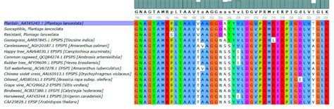 Multiple Nucleotide Sequence Alignment Of Resistant And Susceptible