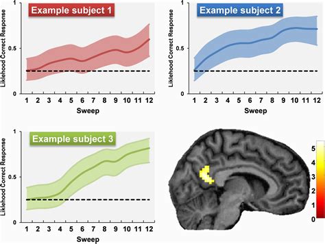 A Central Role For The Retrosplenial Cortex In De Novo Environmental Learning Elife