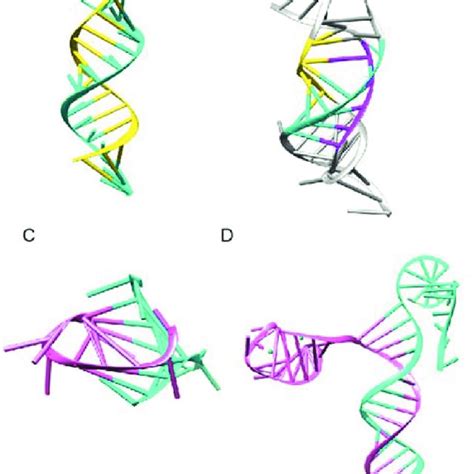 Rna Structures A Double Stranded Rna Helix 6ia2 167 In A
