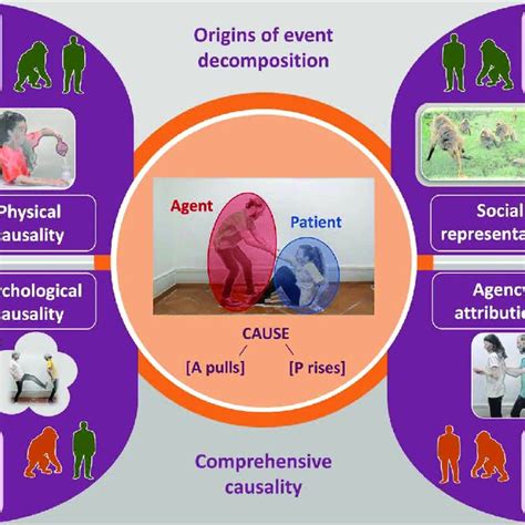 Cognitive Components Of Event Decomposition The Central Portion Download Scientific Diagram