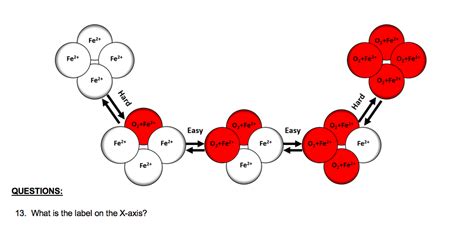 Solved Model 3 Oxyhemoglobin Dissociation Curve Hemoglobin Chegg Com