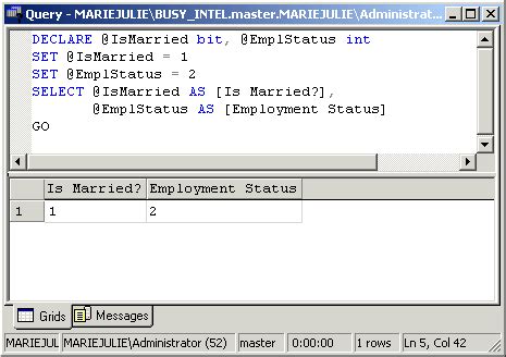 SQL Server Tutorials Lesson Variables And Data Types