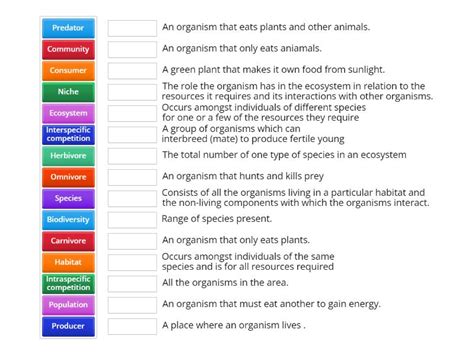 Ecological Terms Une Las Parejas