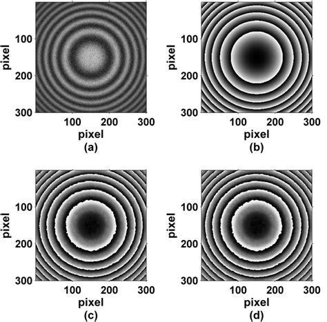 a one of simulated phase shifted fringe patterns with strong noise