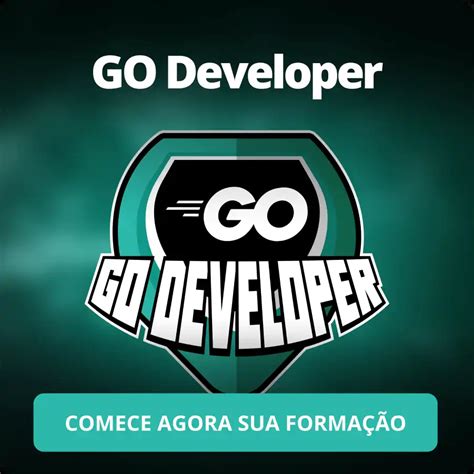 Minha Experiência Com Go