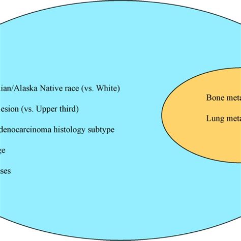 The Identification Of Risk And Prognostic Factors Of Brain Metastases Download Scientific