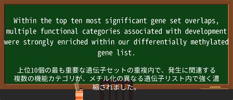 【英単語】functional Categoriesを徹底解説！意味、使い方、例文、読み方