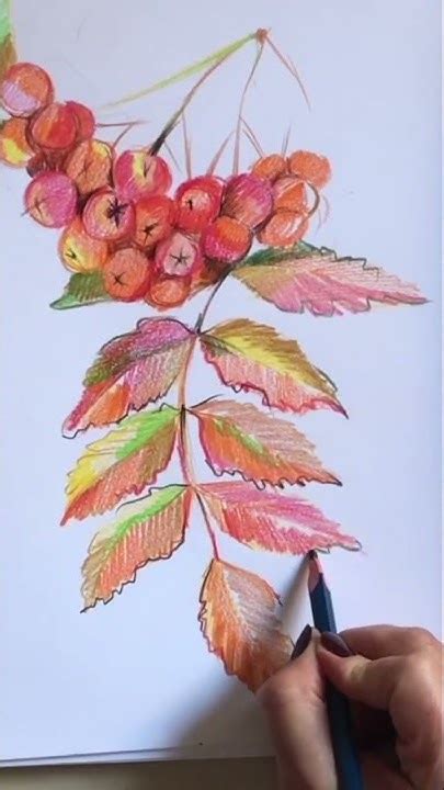 Малюємо разом з художницею Наталкою Барвінок малювання малюнок урокмалювання