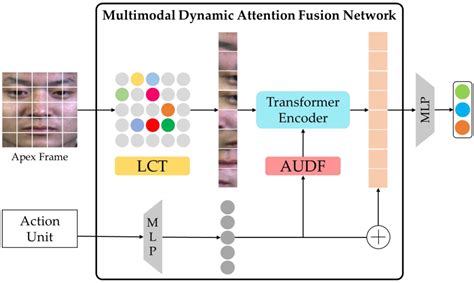 Entropy Free Full Text Multimodal Attention Dynamic Fusion Network