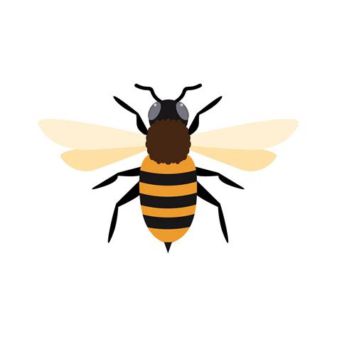 Honey Bee Flat Design Vector Illustration Cute Bumble Bee Bumblebee Character Logo Mascot