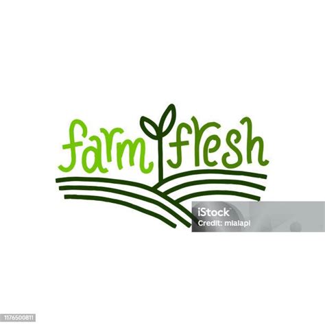 농장 신선한 평면 손으로 그린 글자 패키지 라벨 커버 브로셔 가방에 대한 슬로건 포스터 타이포그래피 디자인 요소 개념에 대한 스톡 벡터 아트 및 기타 이미지 Istock