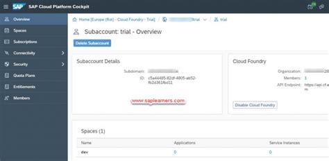 How To Setup Abap Environment In Sap Cloud Platform