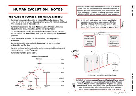 Solution Grade 12 Life Sciences Human Evolution Workbook Studypool