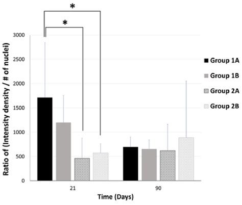 Intensity Intensitymm 2 Of The α Sma Immunof Luorescence Over The