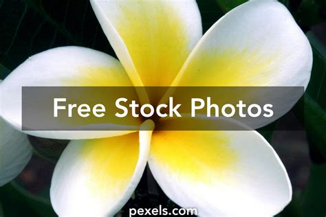 React Js Background Photos Download The Best Free React Js Background