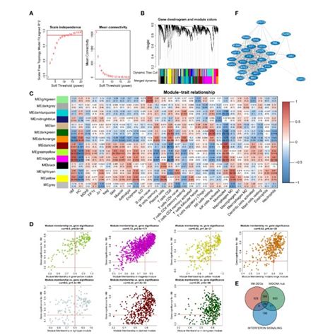 Identification Of Key Interferon Related Differentially Expressed Genes Download Scientific