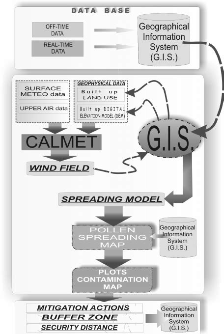 Logic Scheme Of Spatial Simulation Model Download Scientific Diagram