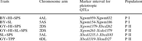 Pleiotropic Qtls Detected For Yield Contributing Traits In P I And P Ii Download Table