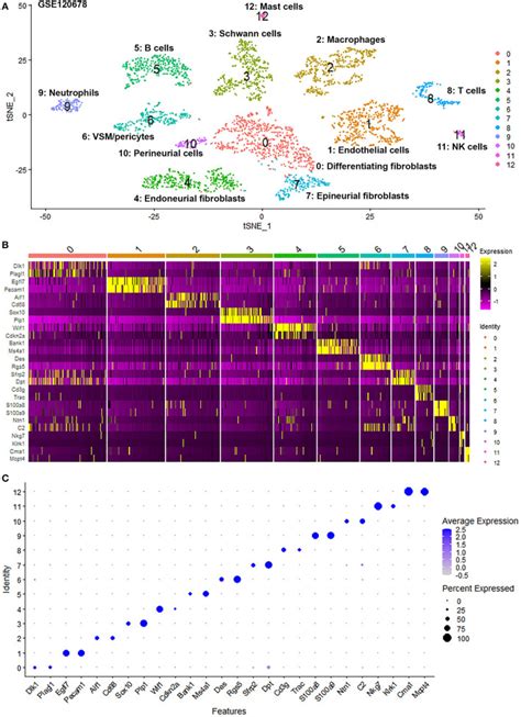 Single Cell Transcriptome Data Analysis Defines The Heterogeneity Of Peripheral Nerve Cells In