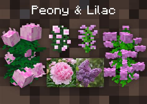 Peony And Lilac Minecraft Flowers