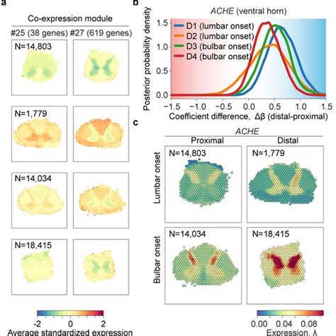 Spatiotemporal Transcriptome Of Human Post Mortem Spinal Cord Tissue Download Scientific