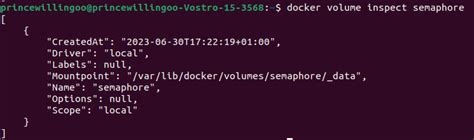 docker volumes efficient data management in containerized environments
