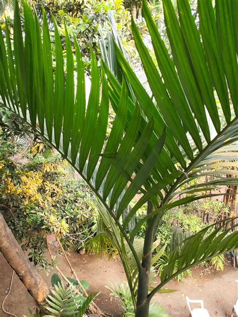 Bageecha Bandb Prices And Reviews Akshi India