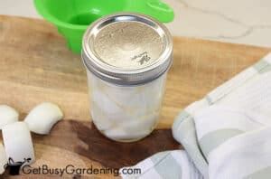 Canning Onions The Complete How To Guide