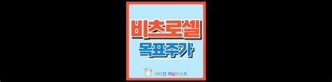 비츠로셀 주가 전망 배당금 실적 발표 목표주가 완벽분석 리튬 전지 관련주