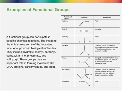 Phosphate Functional Group Example