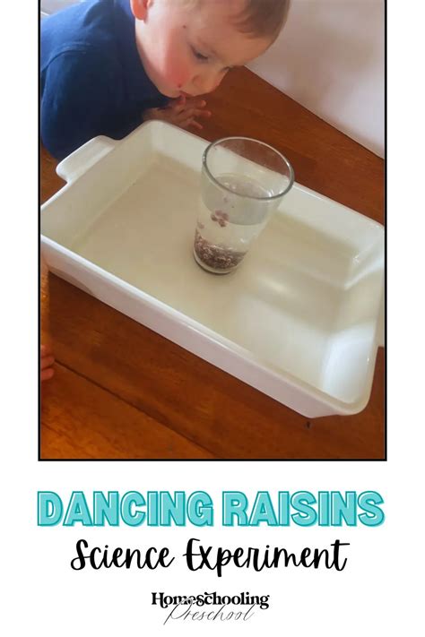 Dancing Raisins Science Experiment Homeschooling Preschool
