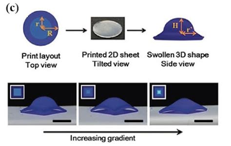 Shape Memory Polymers Şekil Hafızalı Polimerler İng