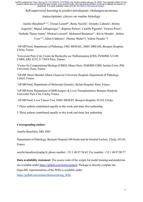 Pdf Self Supervised Learning To Predict Intrahepatic Cholangiocarcinoma Transcriptomic Classes