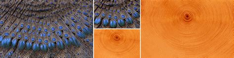 figure 1 from non stationary texture synthesis by adversarial expansion