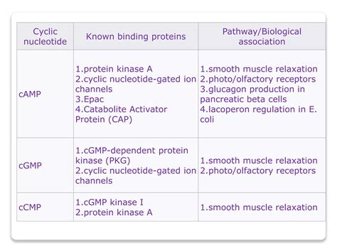 Receptors Types And Details Ppt
