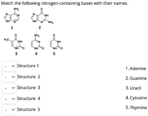 Nitrogen Containing Base