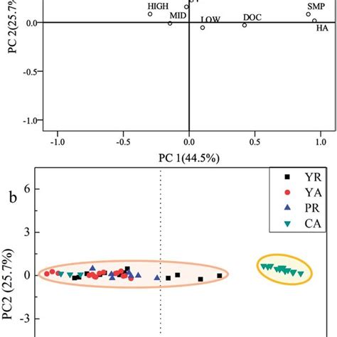 Pac Plots Of Removal Rate A Pc1 Vs Pc2 Loading Plot B Pc1 Vs Download Scientific