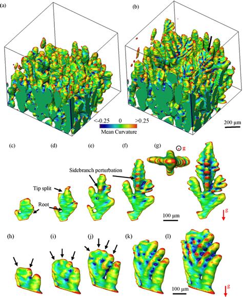 A To B 3d Interface Morphology Evolution Coloured By Its Mean