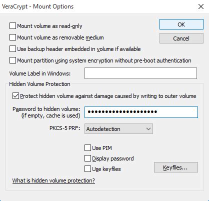 VeraCrypt For Windows Secure File Storage