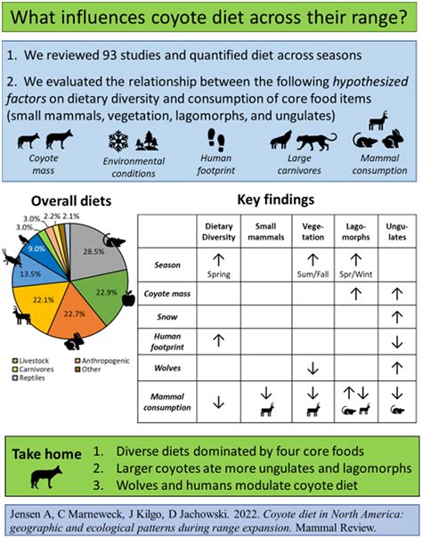 Coyote Diet In North America Geographic And Ecological Patterns During